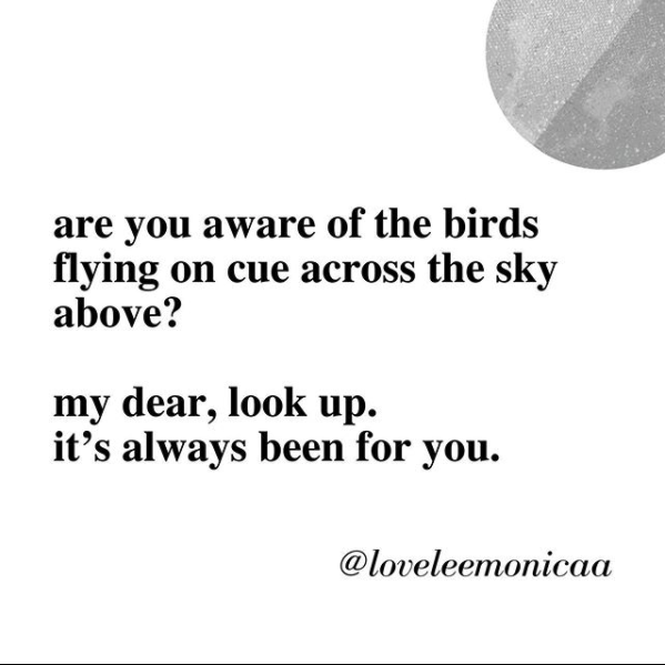 POEMS – monica rodriguez